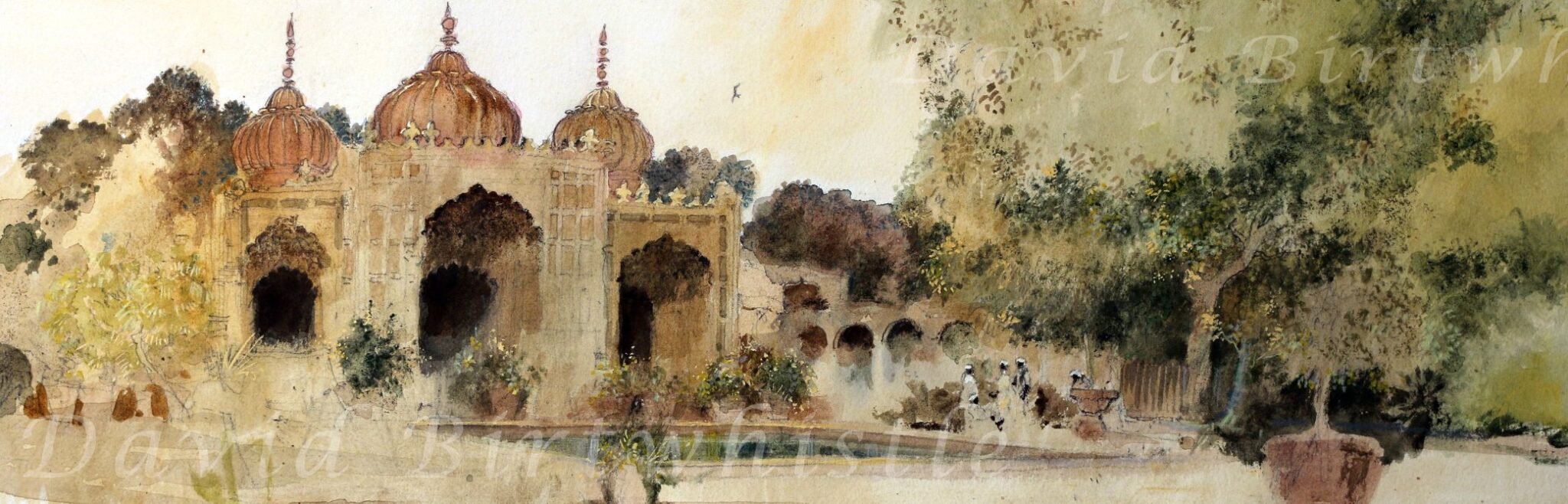 Qudsia Bagh, Old Delhi – David Birtwhistle